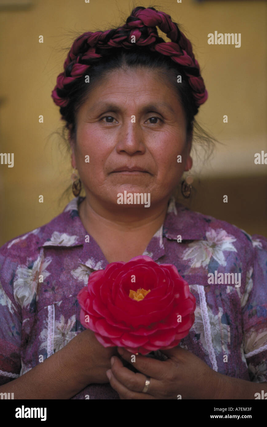 Mexico, Oaxaca, Teotitlan del Valle, Artisan showing creations of ...