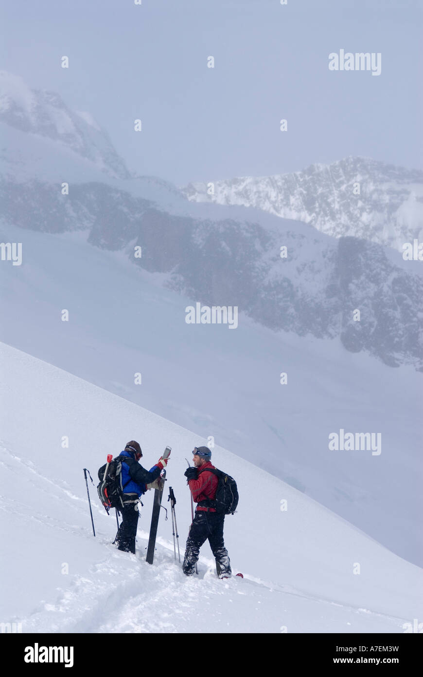 Skiers skinning up after a ski run on the Asulkan Glacier, Rogers Pass ...
