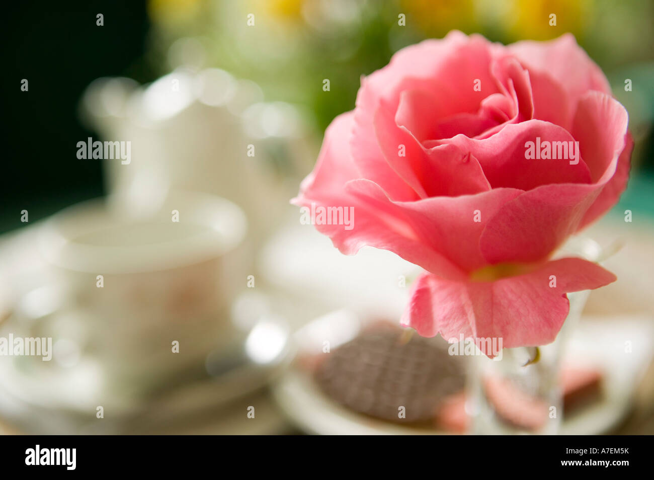 romantic afternoon tea with pink rose Stock Photo - Alamy
