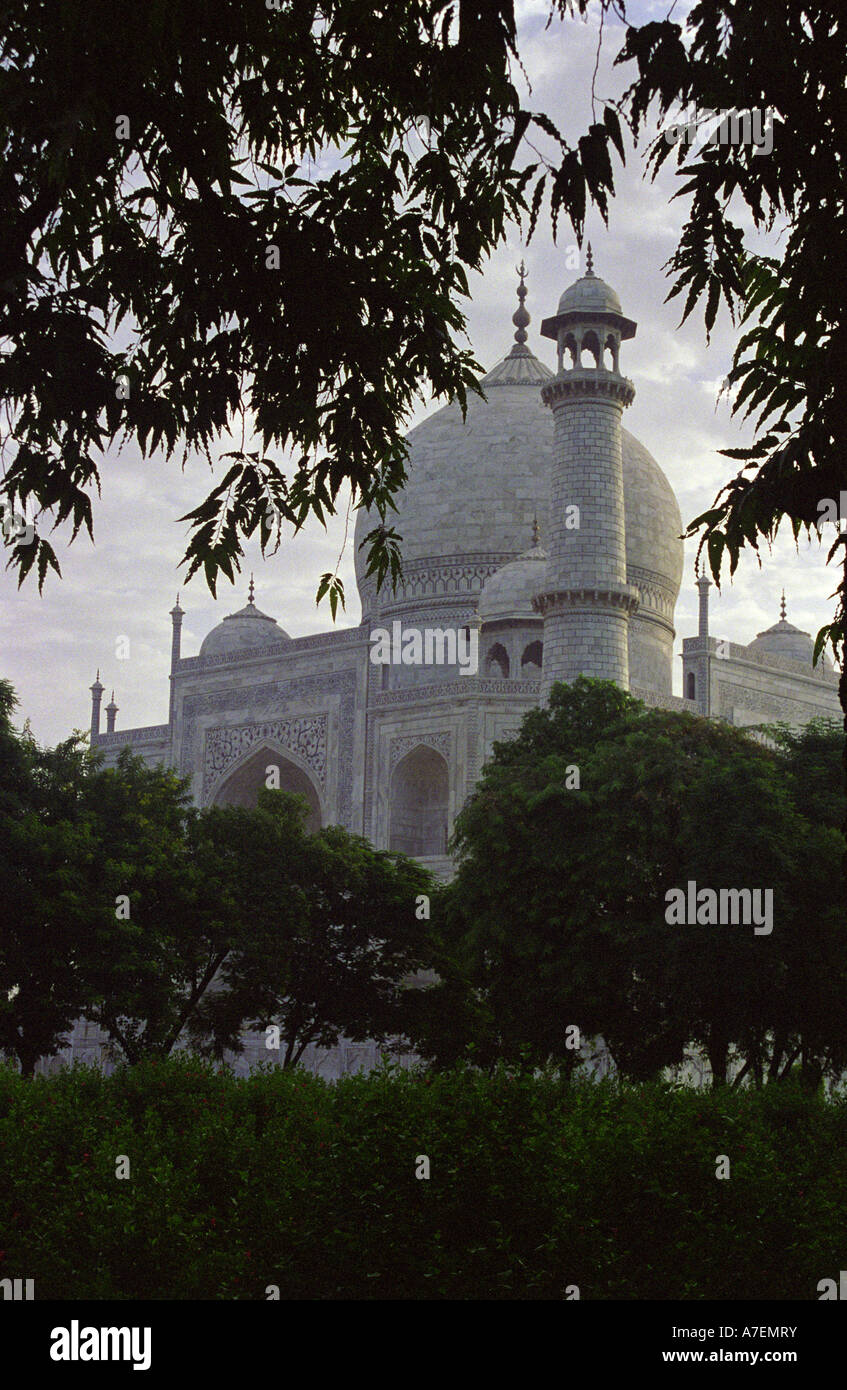vertical view of the taj mahal through trees agra uttar pradesh india ...