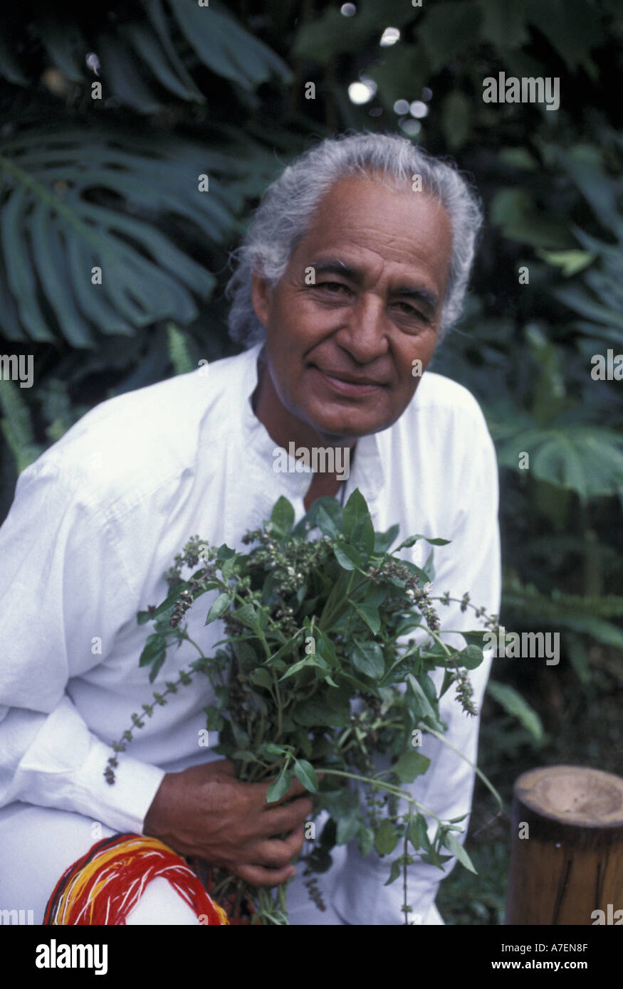 NA, Mexico, Oaxaca. Shaman Ignacio Hernandez. Temescal Herbal Sauna ...