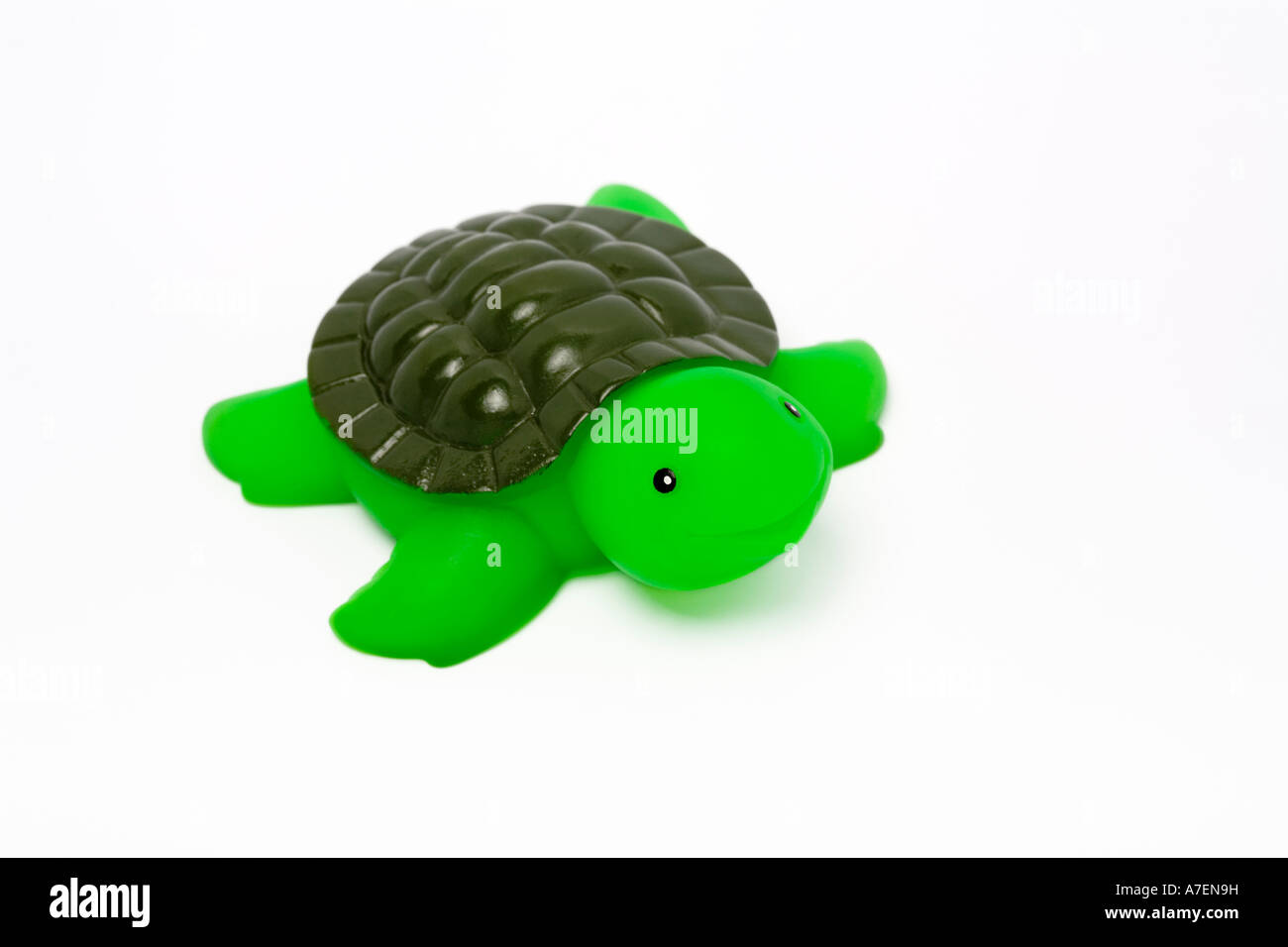 One plastic green turtle baby toy on white background Stock Photo - Alamy