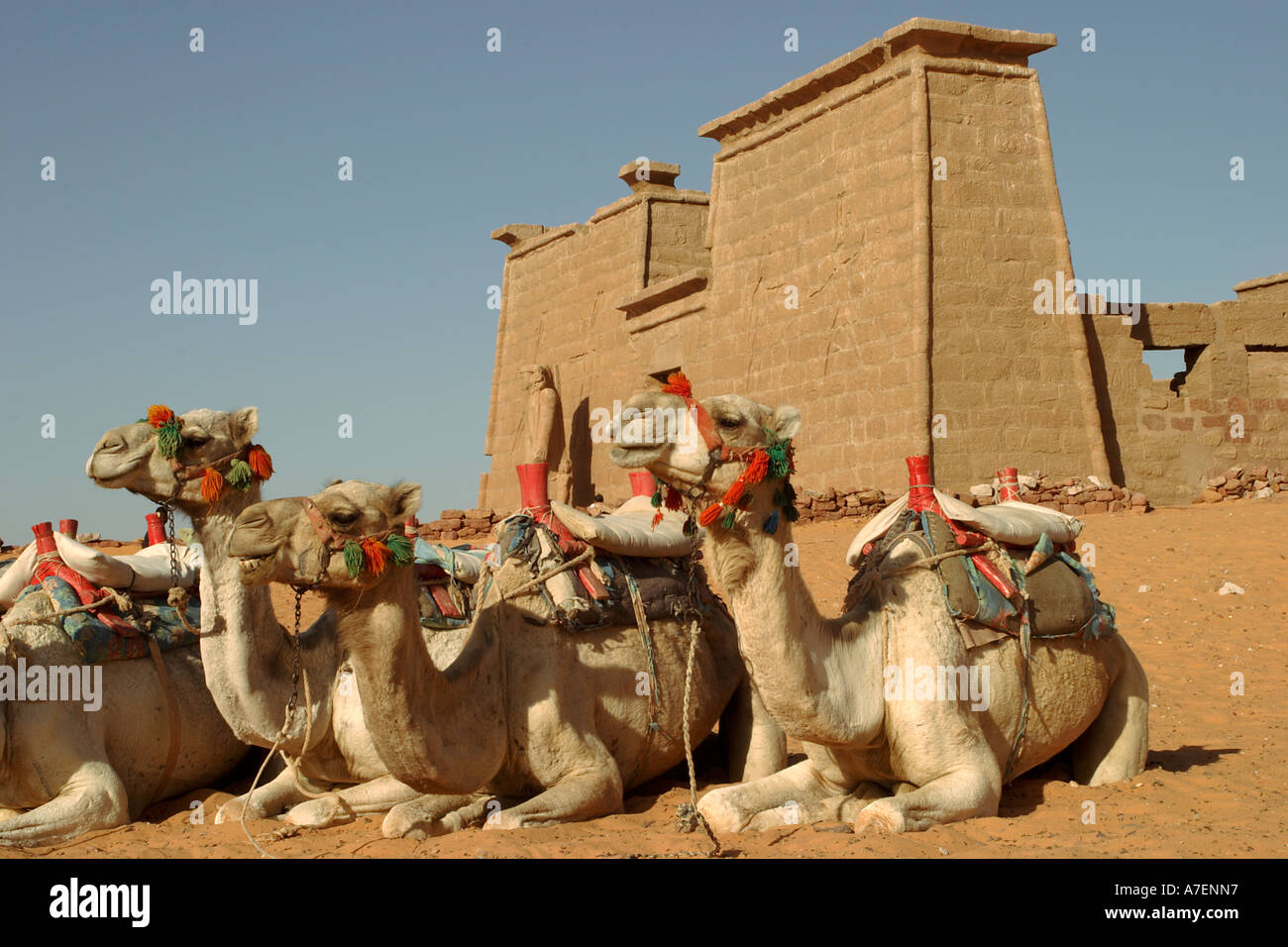 Seboua temple hi-res stock photography and images - Alamy