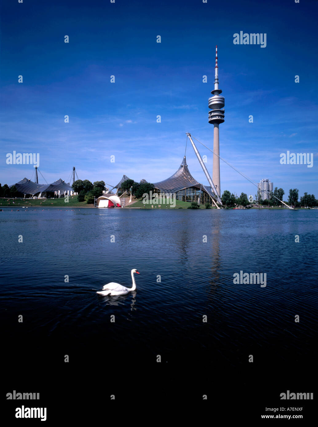 Olympic world photo pool hi-res stock photography and images - Alamy