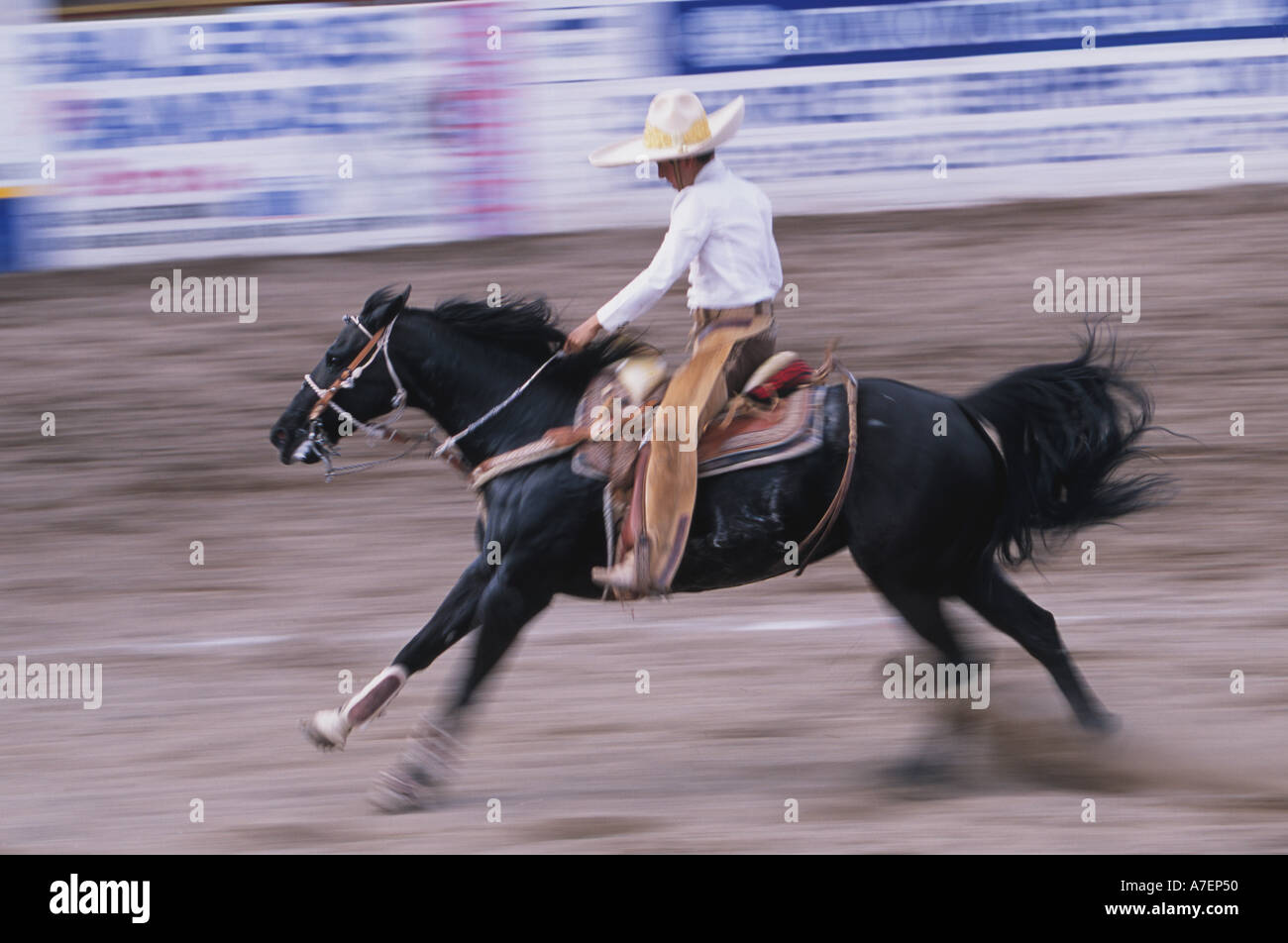 Mexico, Jalisco, Puerto Vallarta. Cowboy on horseback at charro, rodeo ...
