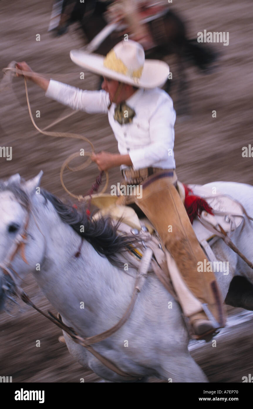Mexico, Jalisco, Puerto Vallarta. Cowboy attempts to rope a bull at the ...