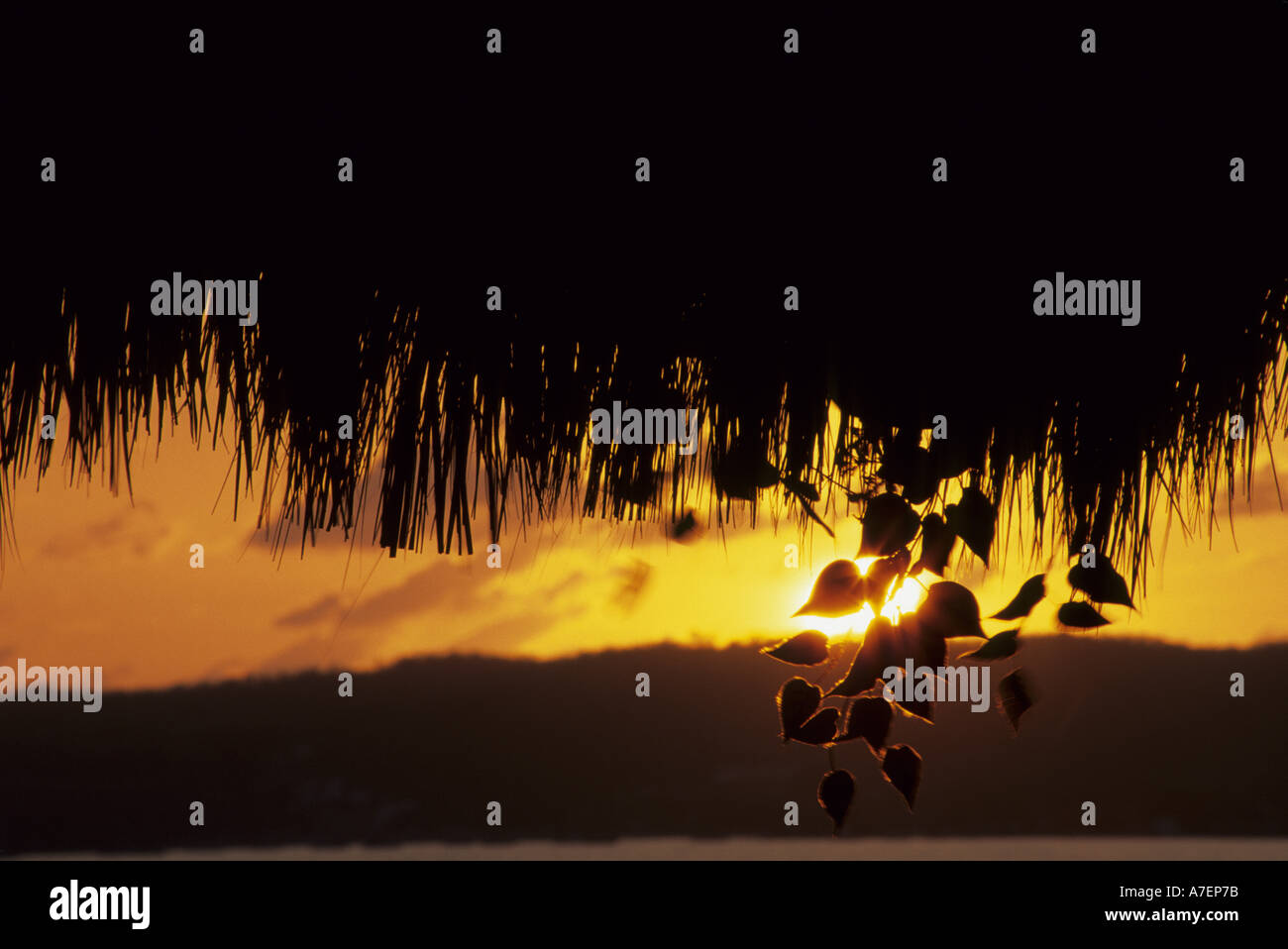 Bucerias dusk hi-res stock photography and images - Alamy