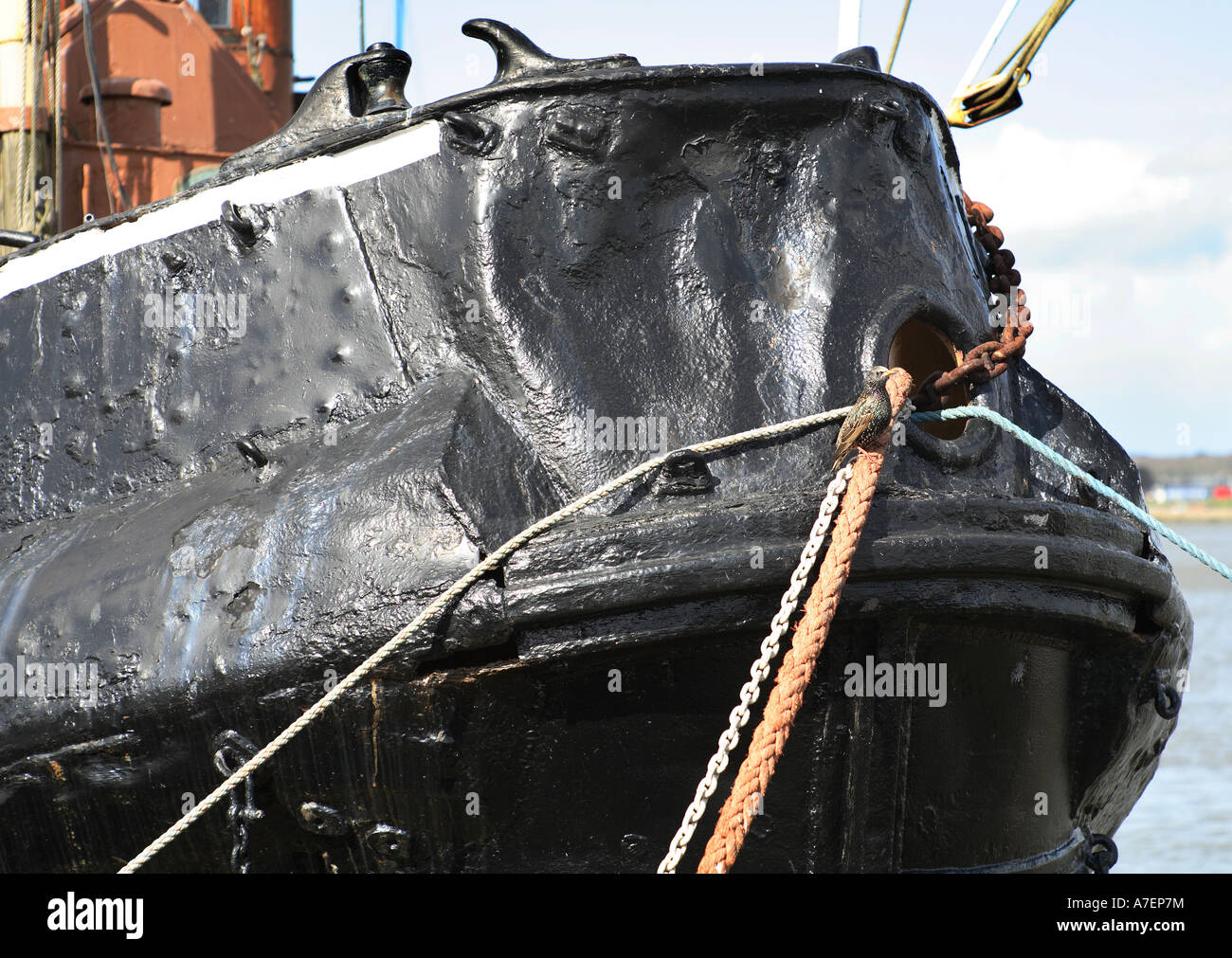 Old Ship Maldon Essex with Bird Stock Photo - Alamy