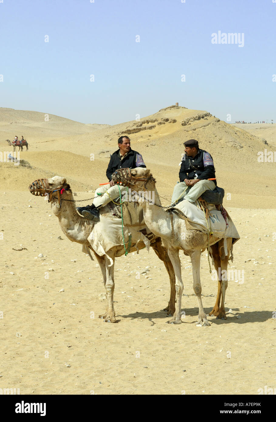 Riding police on camels Stock Photo - Alamy