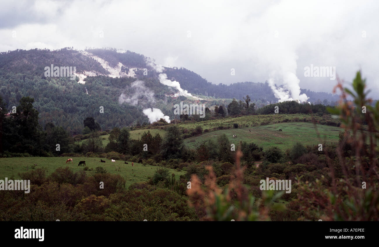 Mexico, Michoacan, Los Azufres, North America. Geothermal energy Stock ...