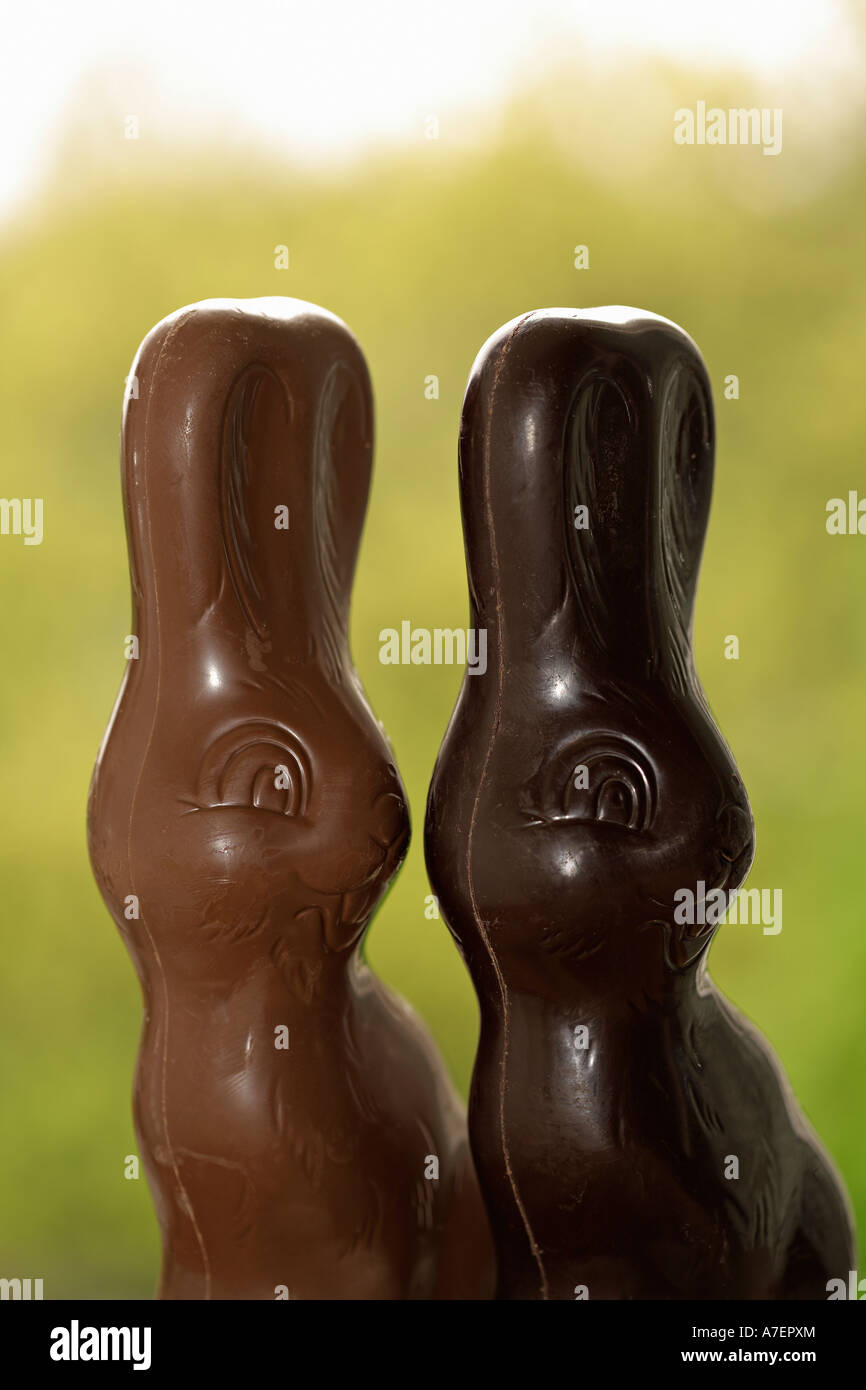 Two Chocolate Bunnies Of Different Colours Against Green Background