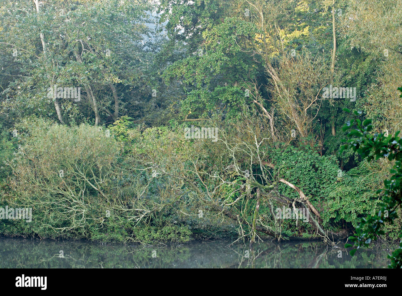Untouched River Landscape Stock Photo - Alamy