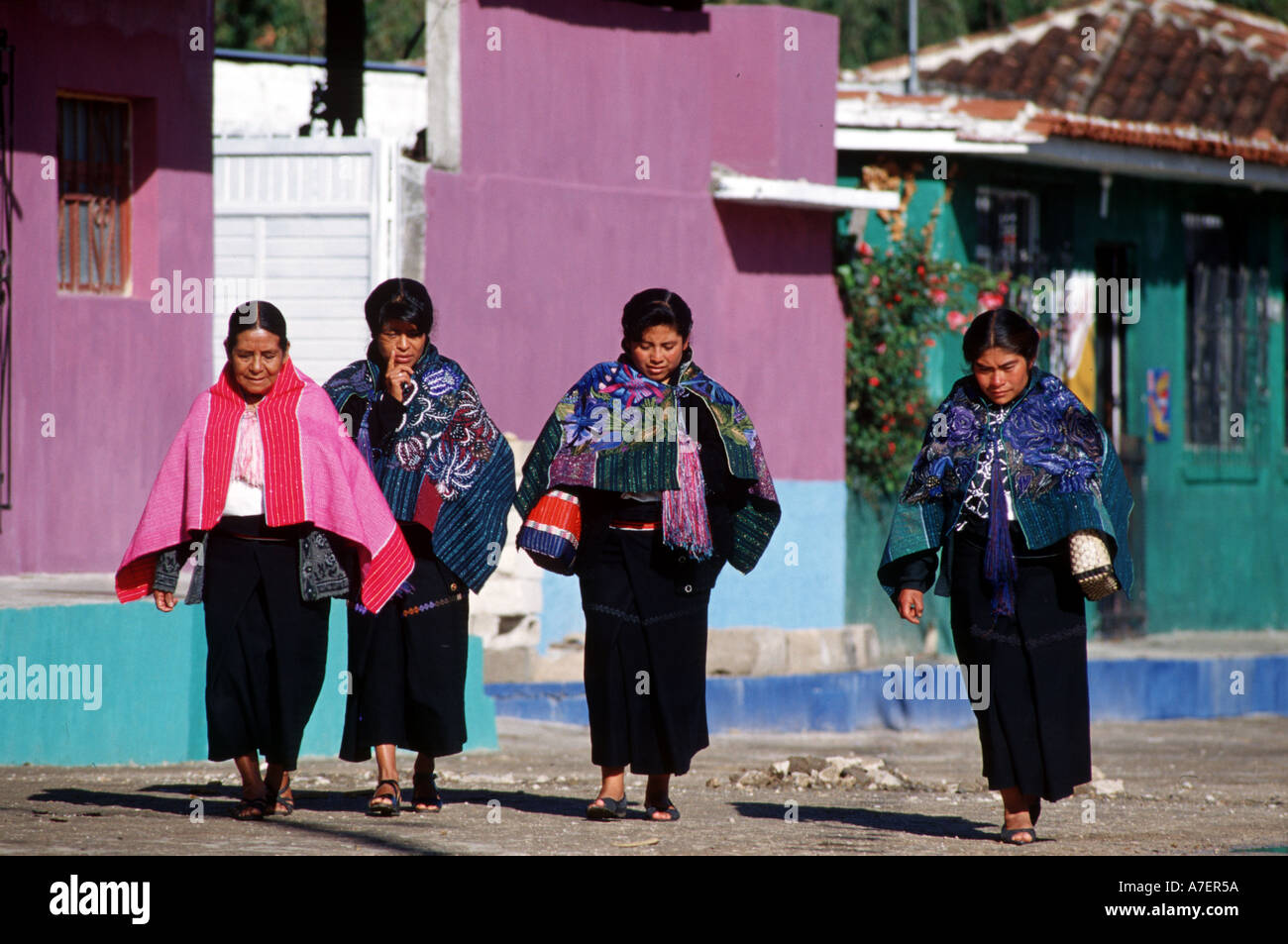 Mexico chiapas zinacantan tzotzil mayan hi-res stock photography and ...