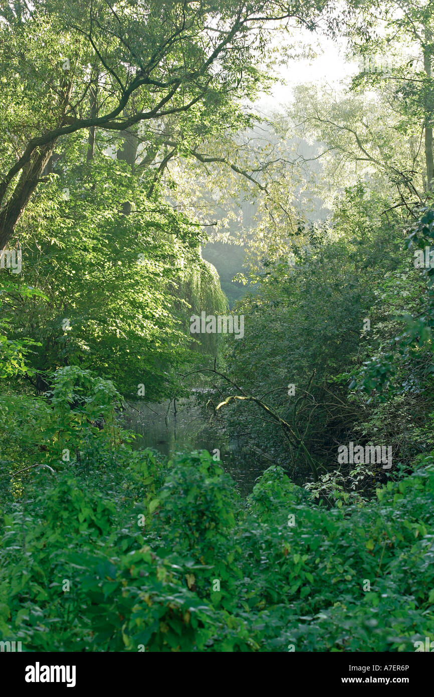 Untouched River Landscape Stock Photo - Alamy