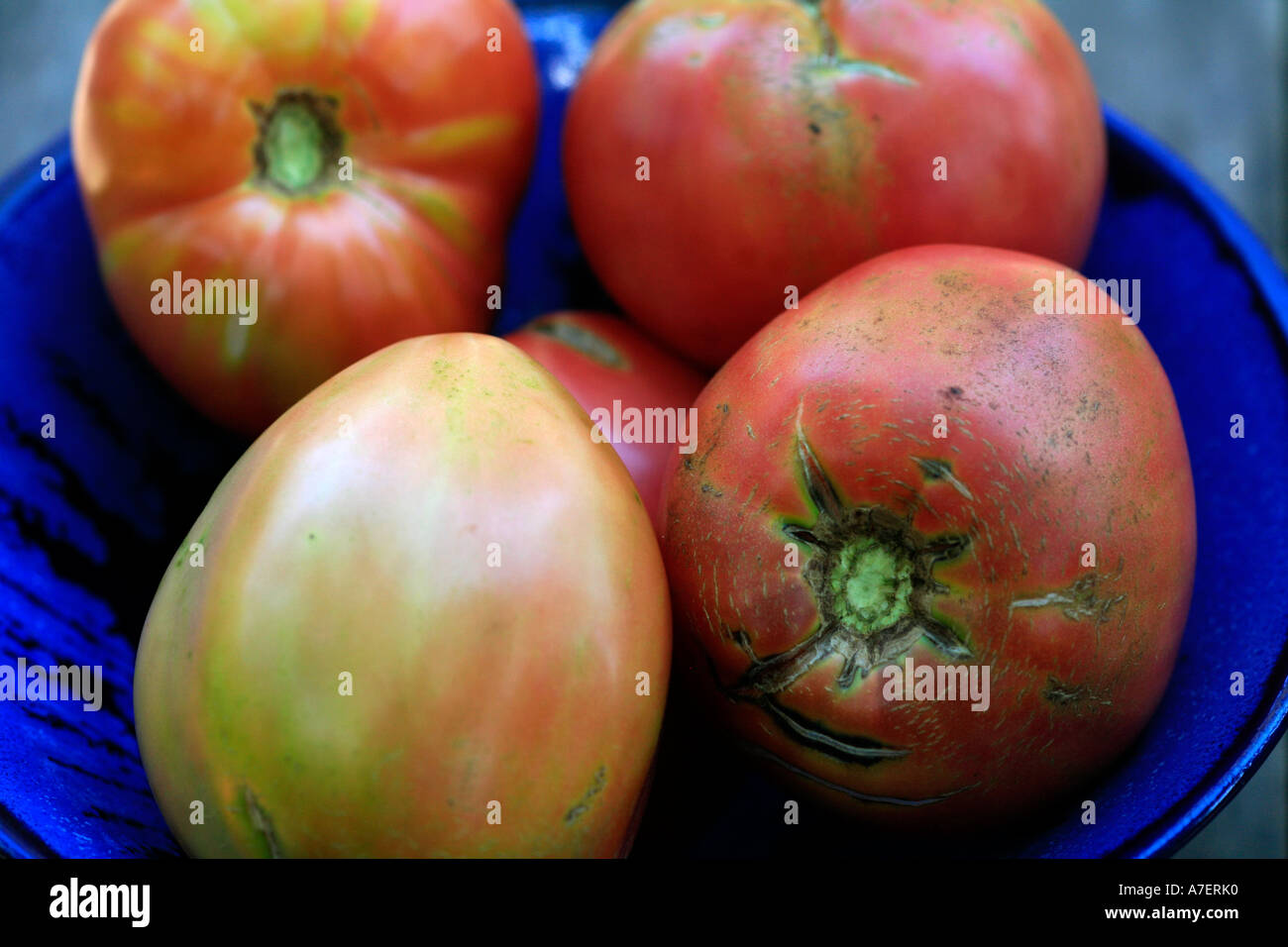 Ox Heart Tomatoes High Resolution Stock Photography and Images - Alamy