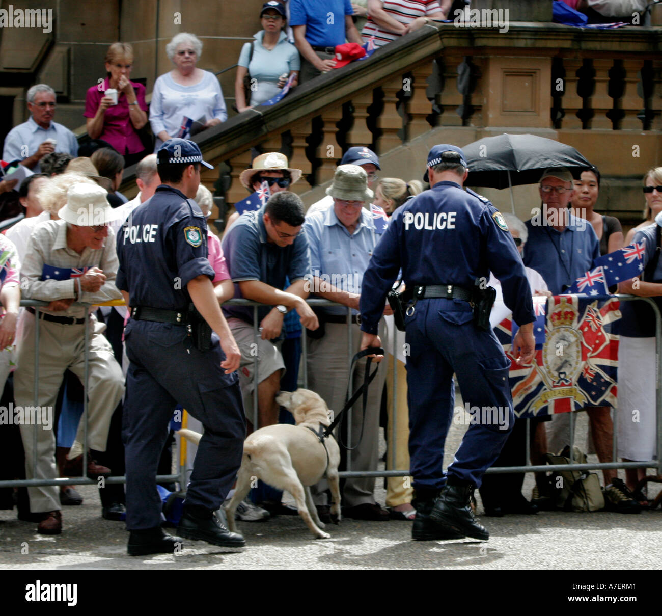 Police dogs in explosives check Stock Photo - Alamy