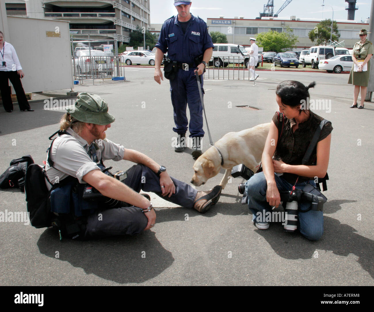 Police Sniffer dog checks photographers gear for explosive residue at a ...