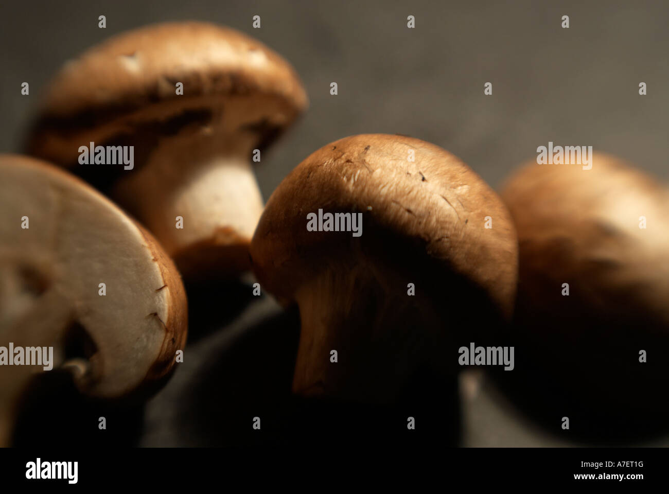 Champinjon hi-res stock photography and images - Alamy