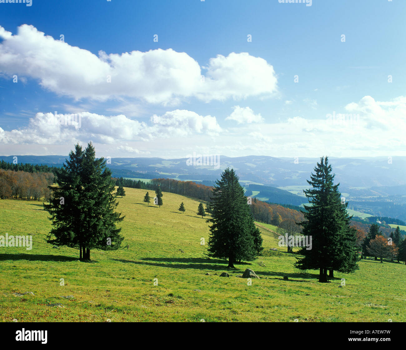 From the Kandel mountain in the Glottertal Glotter valley Black Forest ...