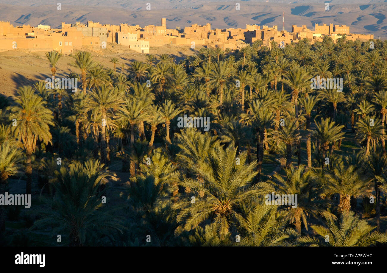 Nkob morocco hi-res stock photography and images - Alamy
