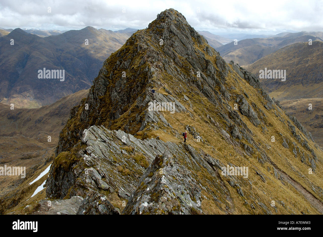 Sgurr na Forcan, Forcan Ridge on The Saddle Scotland Stock Photo - Alamy