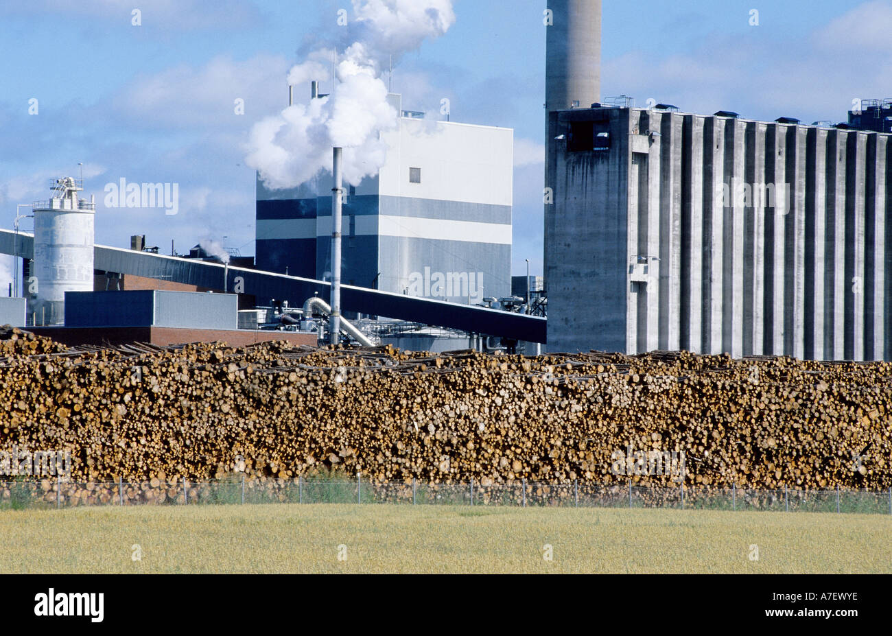 Work paper mill hi-res stock photography and images - Alamy