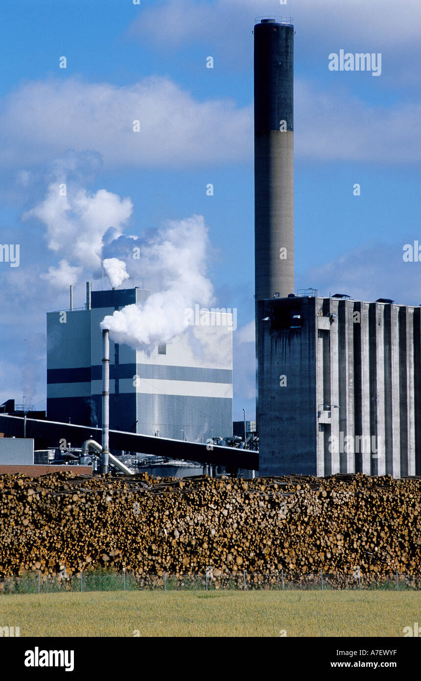 Manufacture of paper hi-res stock photography and images - Alamy