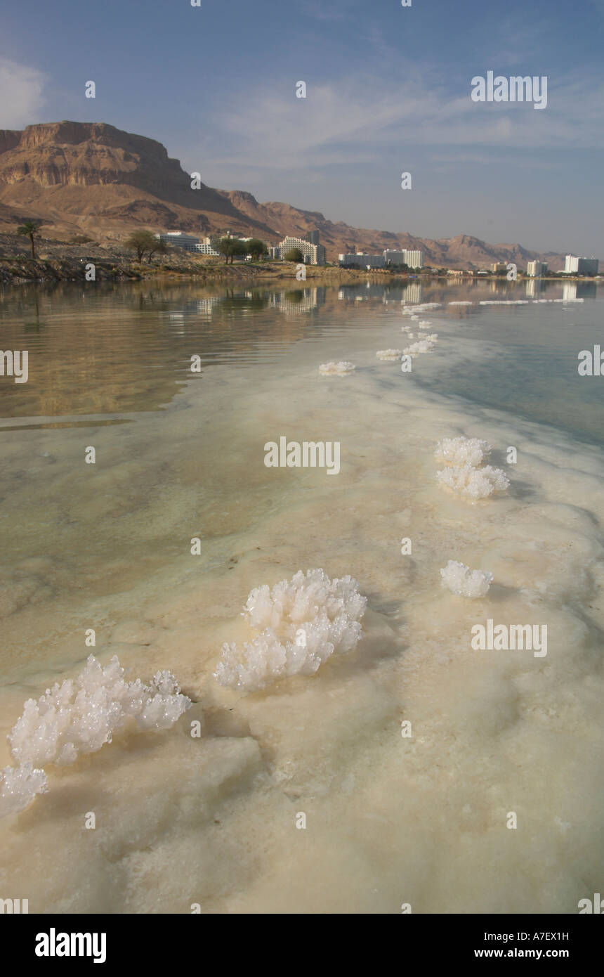 Israel Dead Sea Ein Bokek hotel resort view with sea and salt formations in frgd hotels and ...