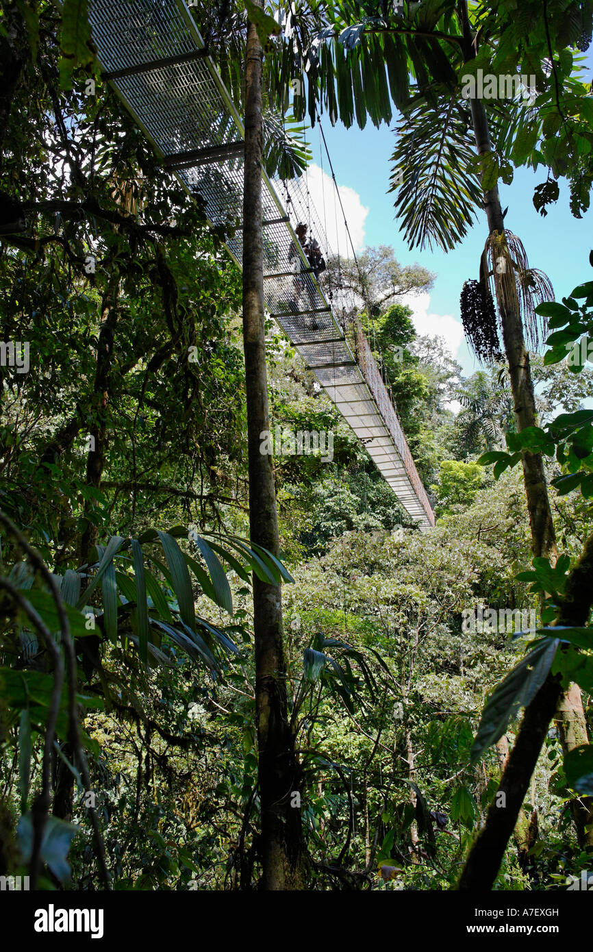 Rainforest, Arenal Hanging Bridges, Costa Rica Stock Photo - Alamy