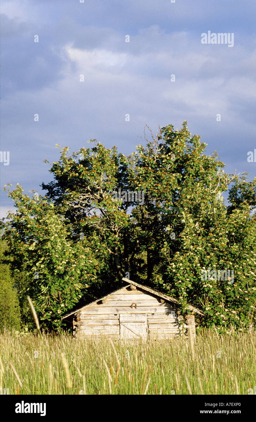 Swedish barn hi-res stock photography and images - Alamy