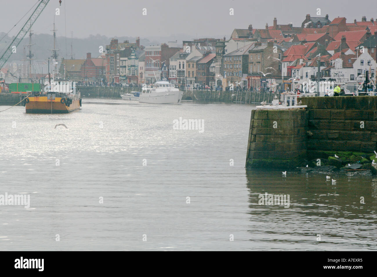 Brea Fishing High Resolution Stock Photography and Images - Alamy