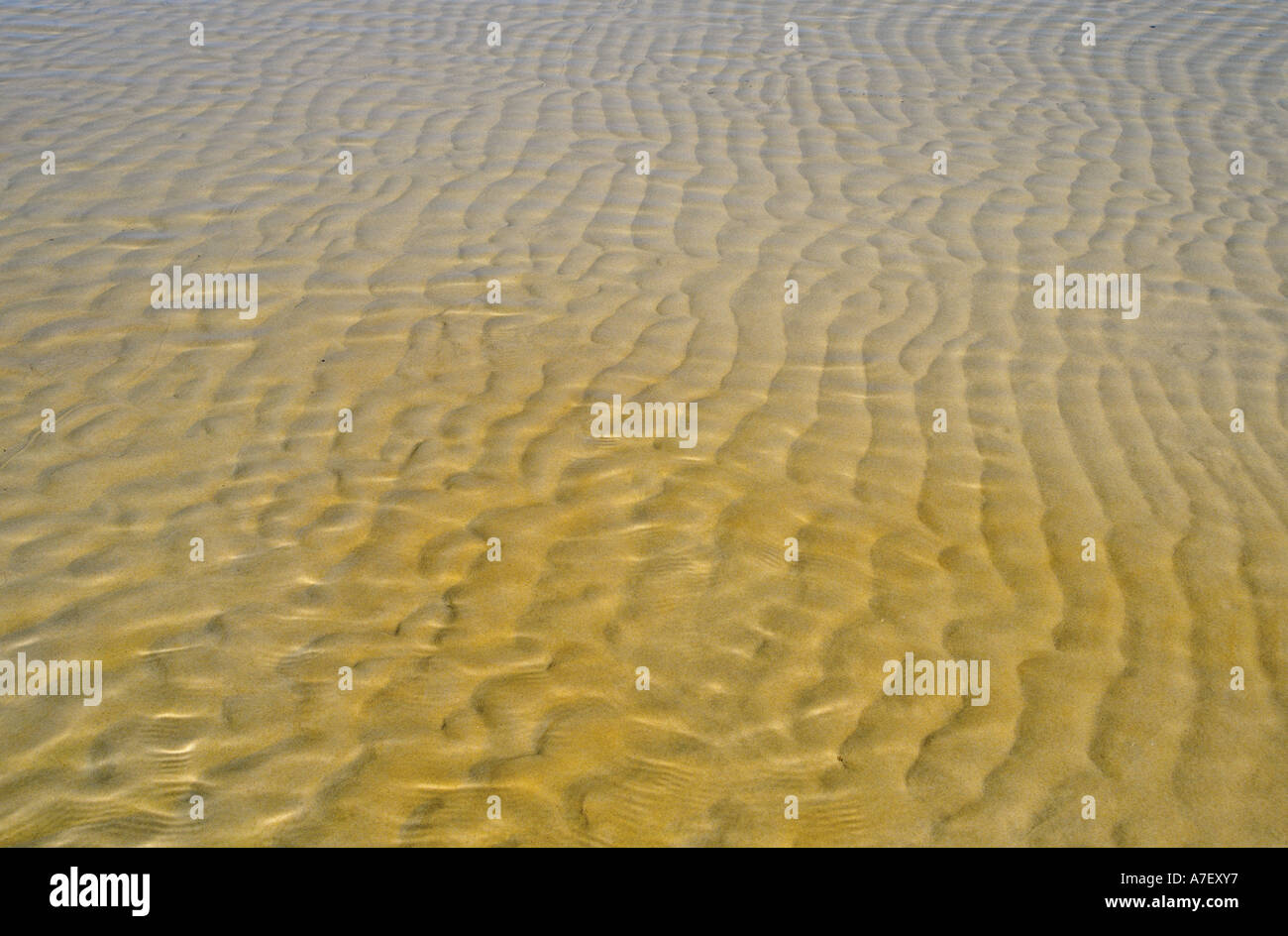 Patterns in the sands pattern sand background hi-res stock photography ...