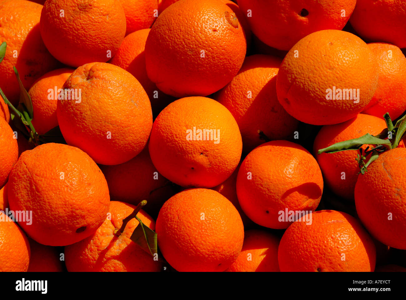 Maroc citrus fruit hi-res stock photography and images - Alamy