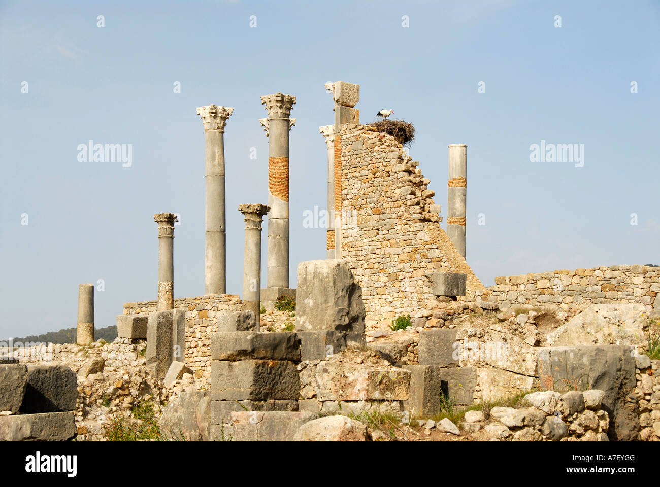 Pillars with a storks nest White Stork Ciconia ciconia archaeological ...