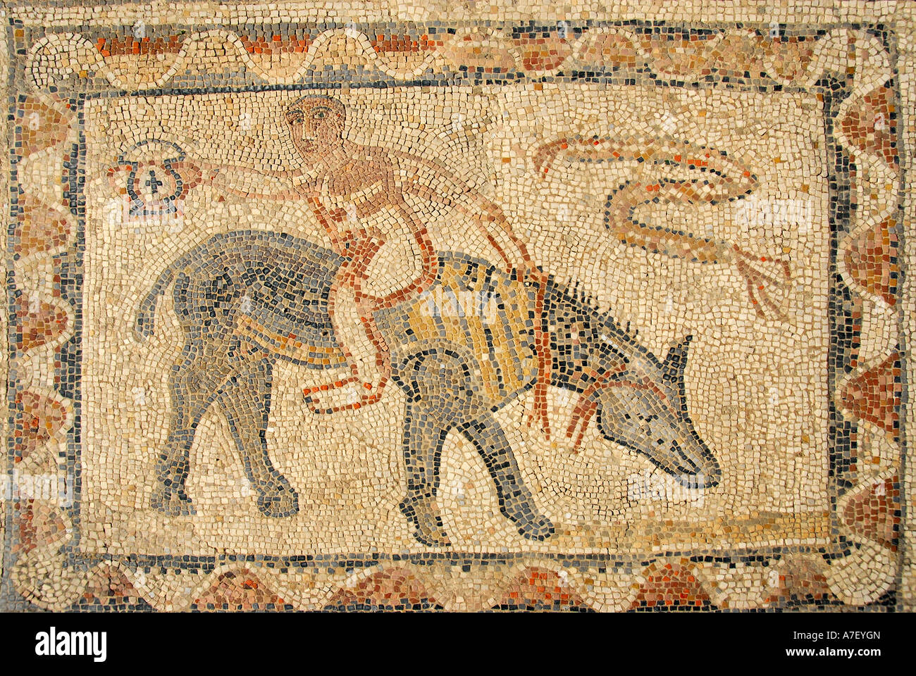 Mosaic man rides a donkey backward archaeological excavation of antique ...