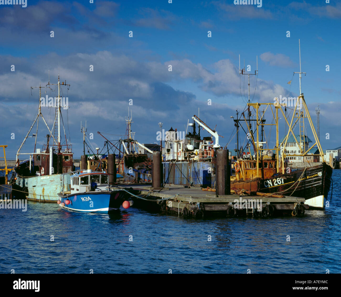 Holyhead fish dock, Anglesey, North Wales, UK Stock Photo - Alamy