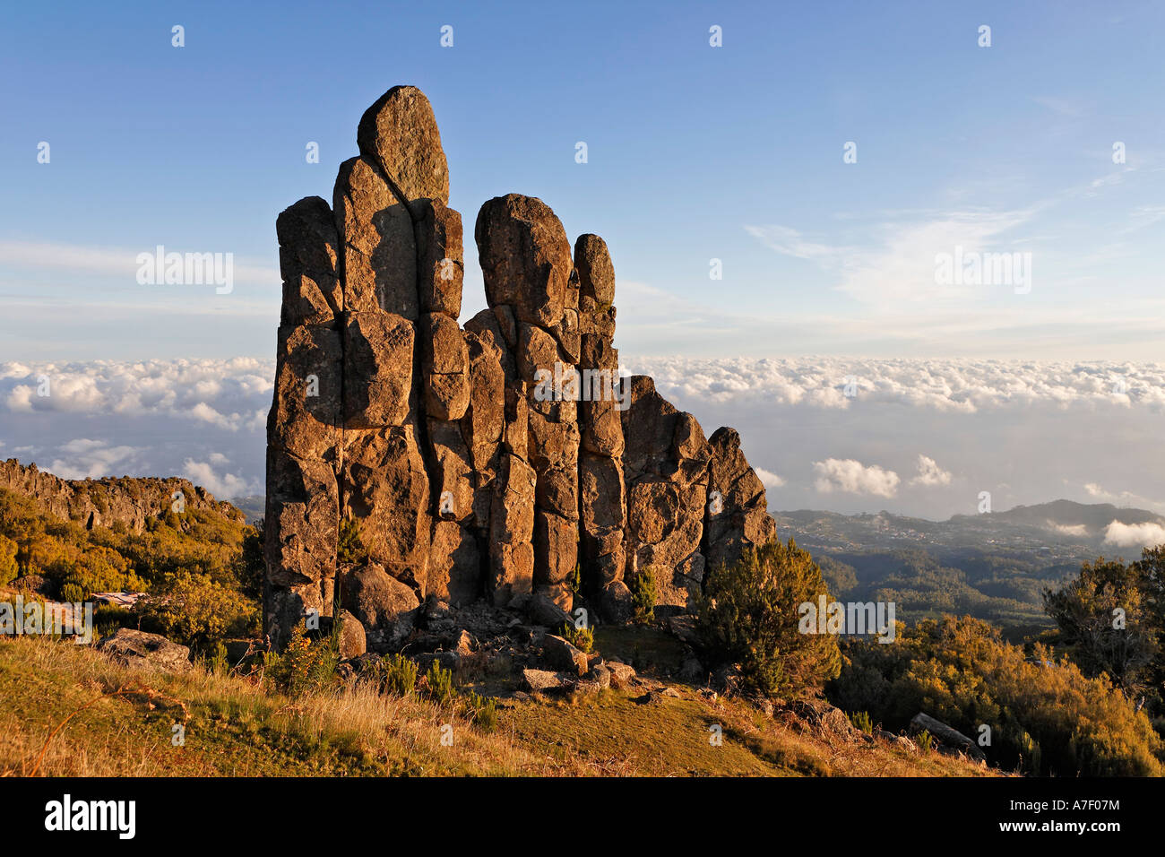 Pe hi-res stock photography and images - Alamy