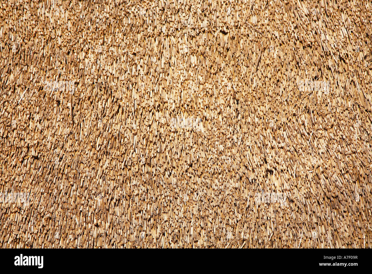 Strohdach struktur hi-res stock photography and images - Alamy