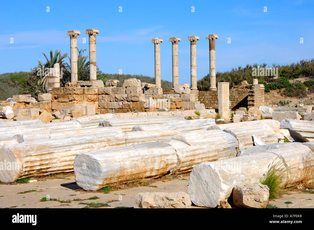 Lying and standing ancient columns with ionic capital, Ruins of the Roman City Leptis Magna ...