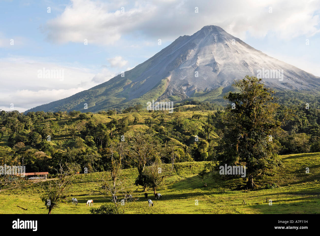 Active volcano Arenal near Fortuna, Costa Rica Stock Photo - Alamy