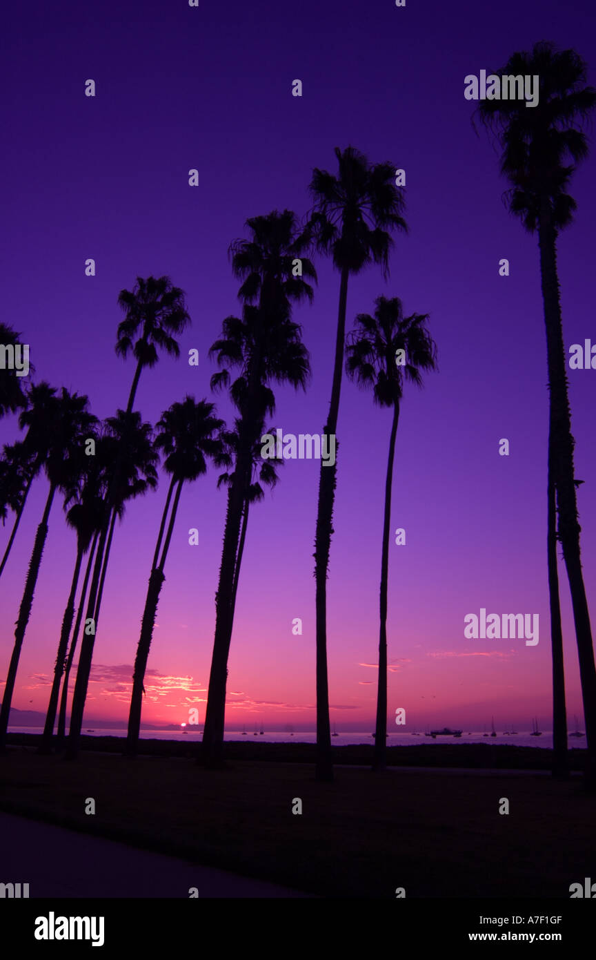 Santa Barbara Sunrise Palm Trees Ocean Beautiful Sky Stock Photo - Alamy