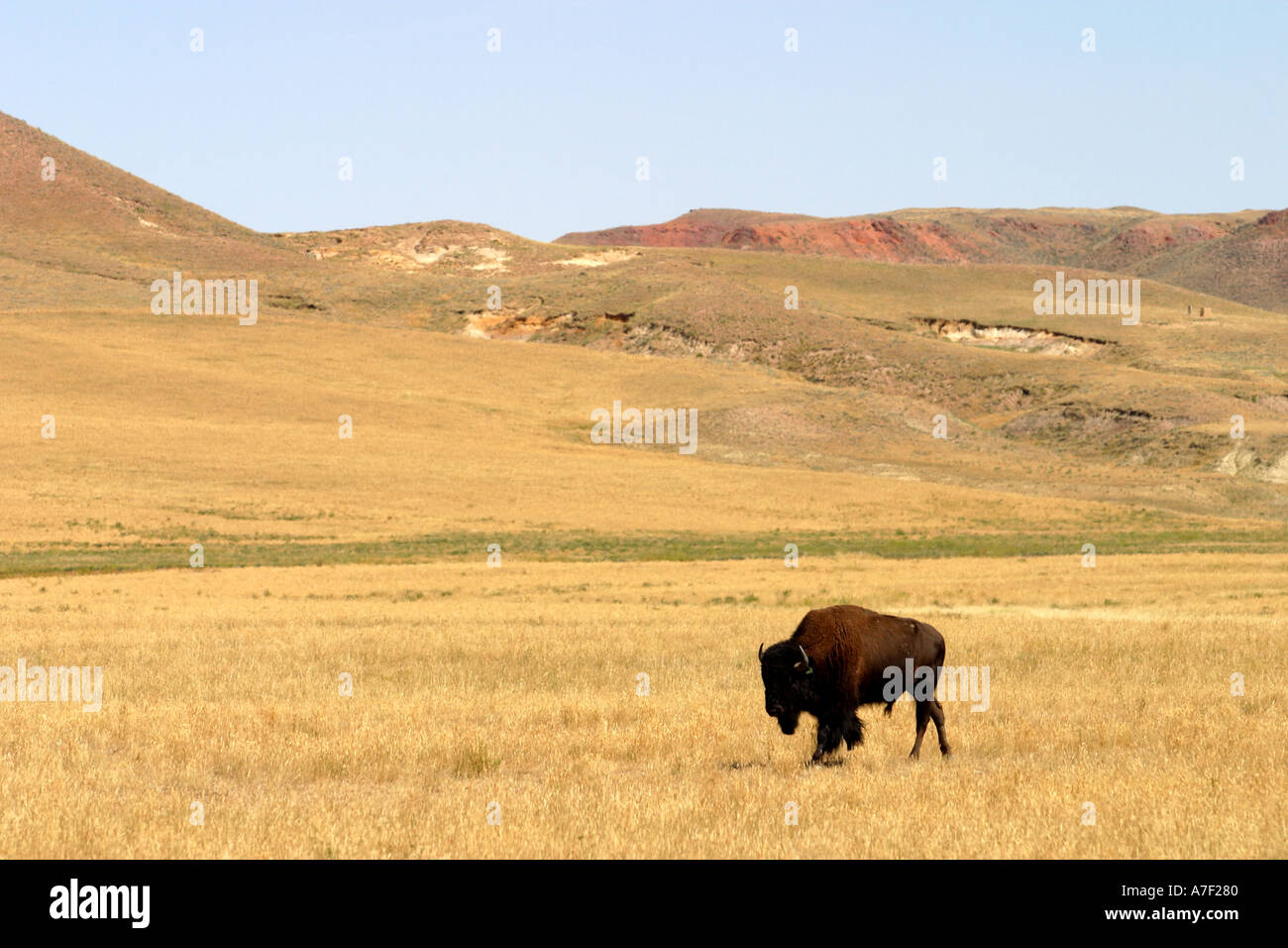 Prairie junction hi-res stock photography and images - Alamy