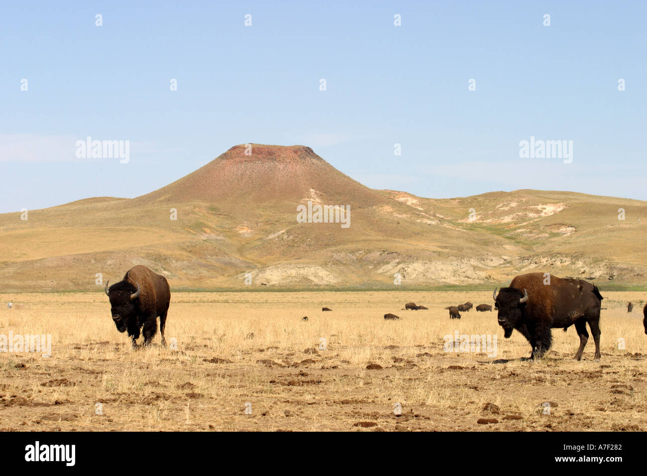 Prairie junction hi-res stock photography and images - Alamy