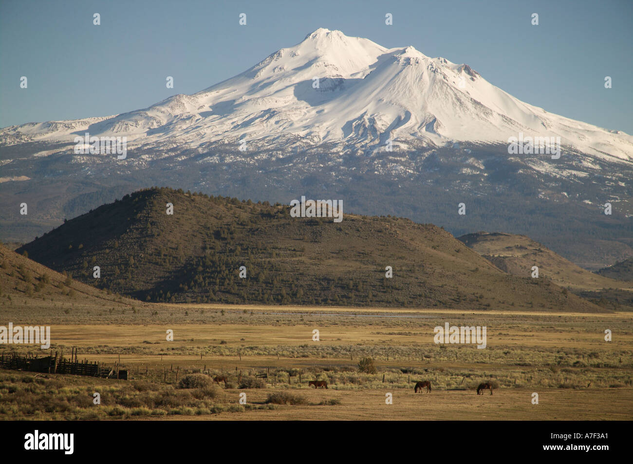 Mt shasta from weed hi-res stock photography and images - Alamy