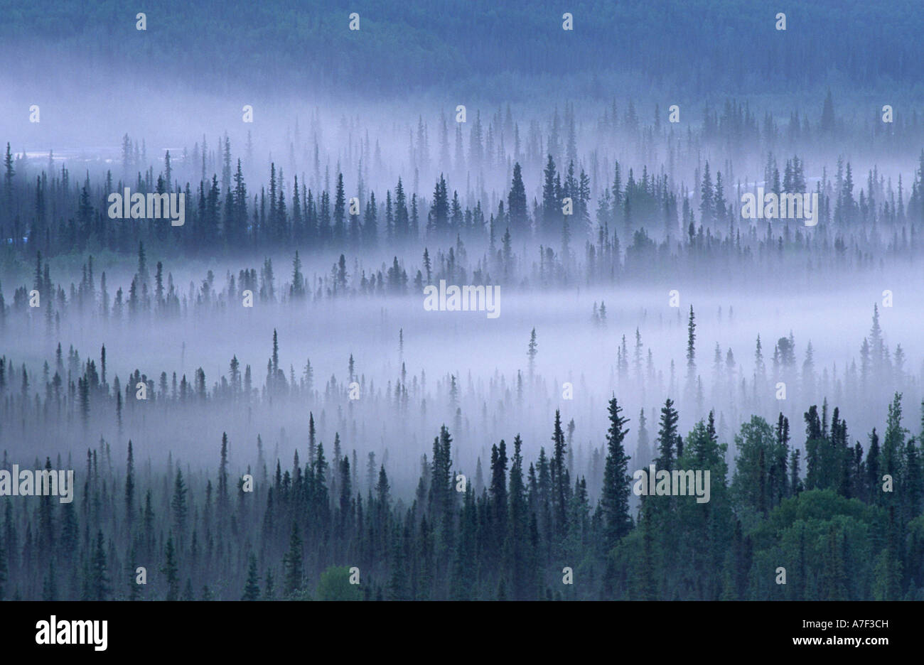 Wiseman Alaska High Resolution Stock Photography and Images - Alamy