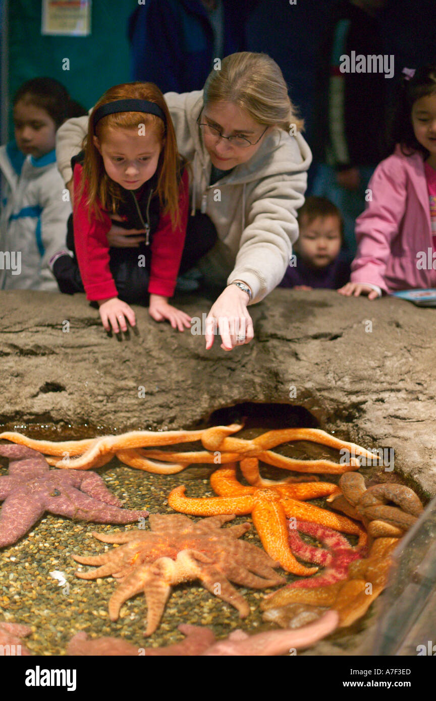 Touching Tide Pool for children and adults at Seattle Aquarium in ...