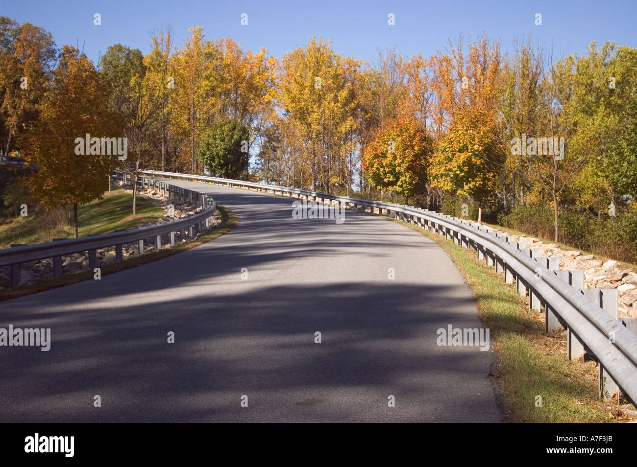 Stock photo of road curving up a hillside in autumn surrounded by ...