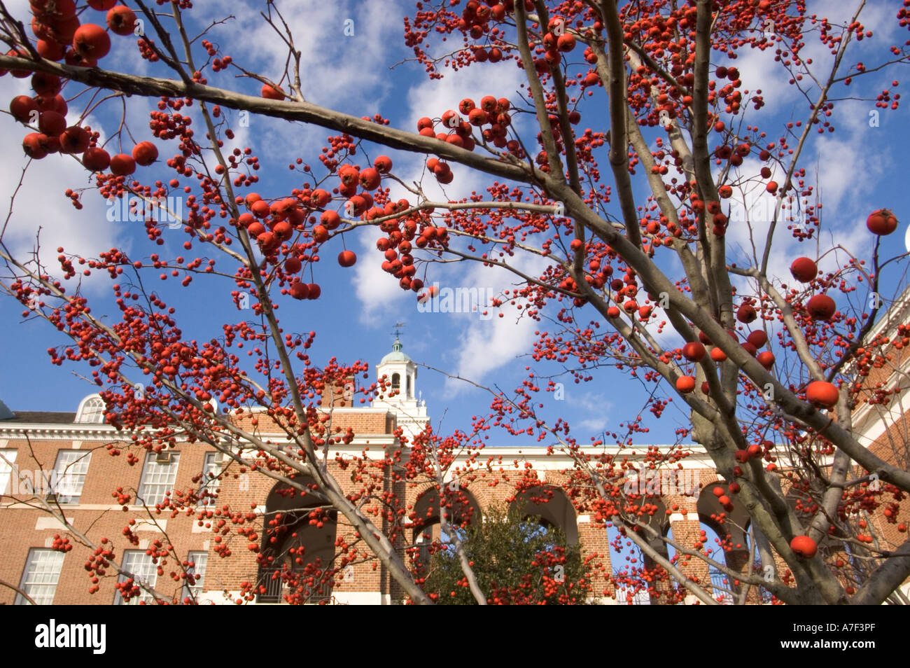 Stock photo of Johns Hopkins University Campus Stock Photo - Alamy