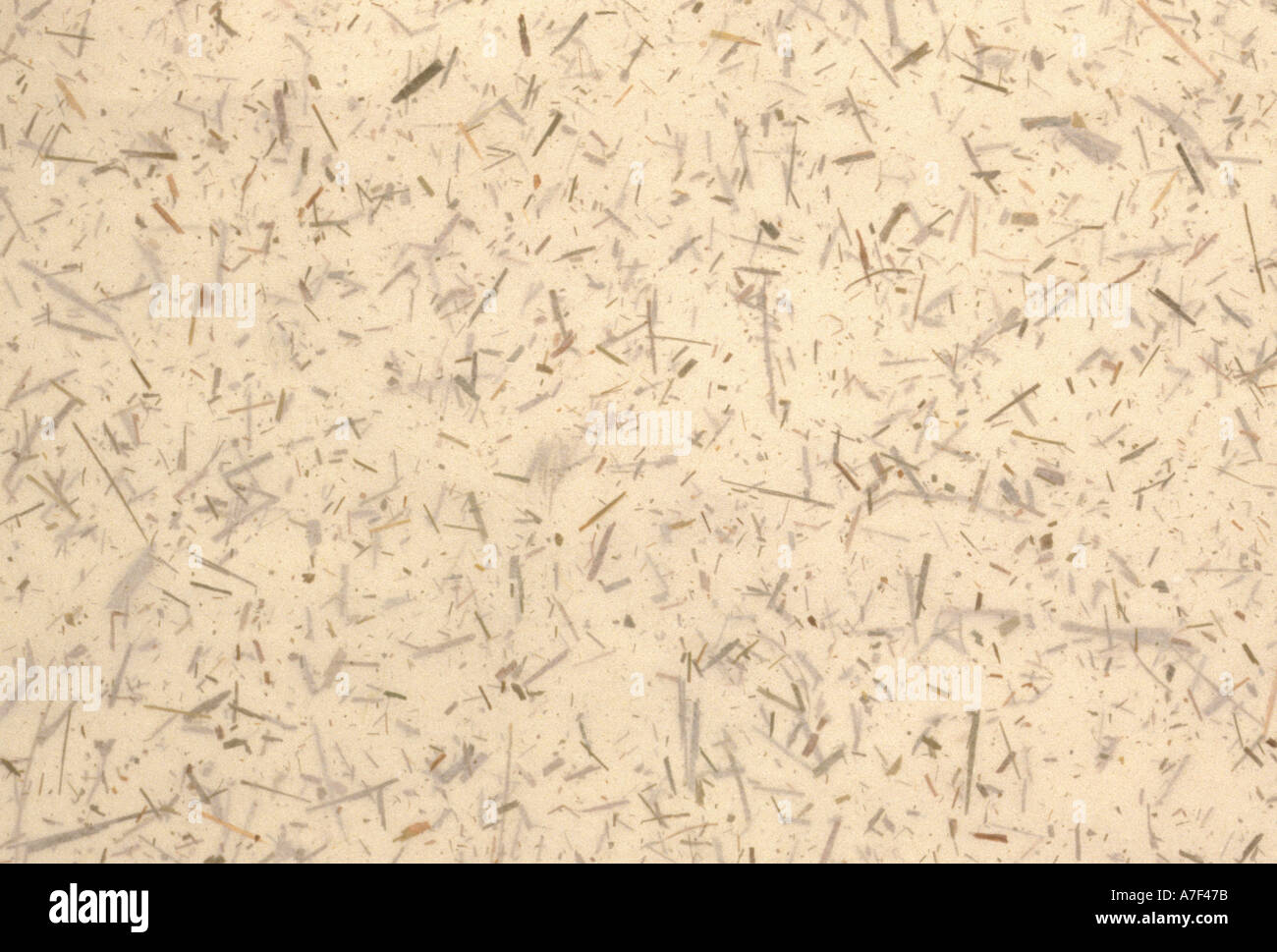 Beige paper texture with flecks of wood Stock Photo - Alamy