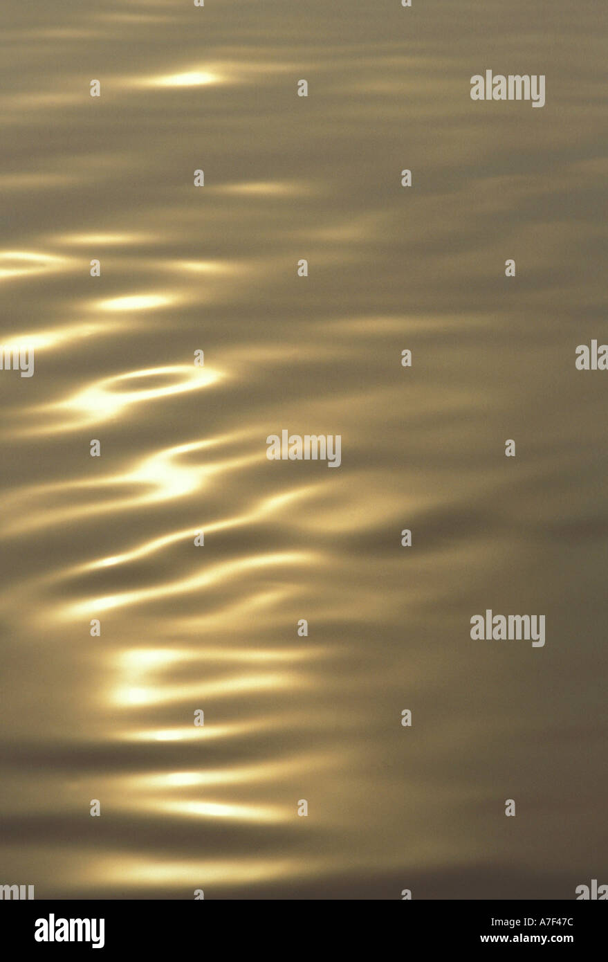 If77001 hi-res stock photography and images - Alamy